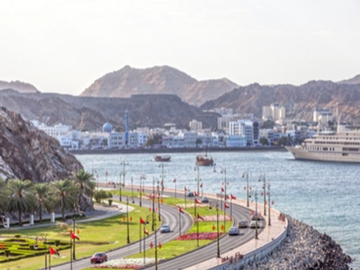 Strategy Development & Research for Oman Urban Development Complex