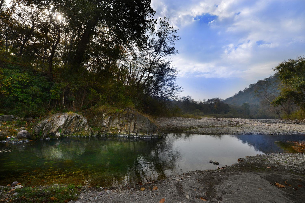 Ramisera Wilds - Be a guest of the forest