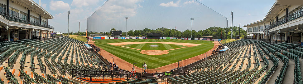 Ballpark Brothers | Wintrust Field, Schaumburg, IL