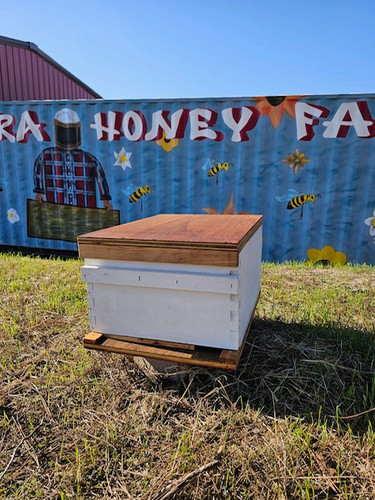BEE HIVE 2026 - $325 for your own 10-FRAME HIVE loaded with Bee's | Sierra Honey Farm