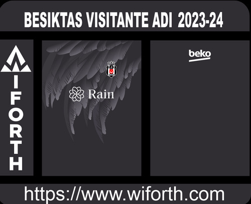 BESIKTAS VISITANTE ADI 2023-24 | Wiforth