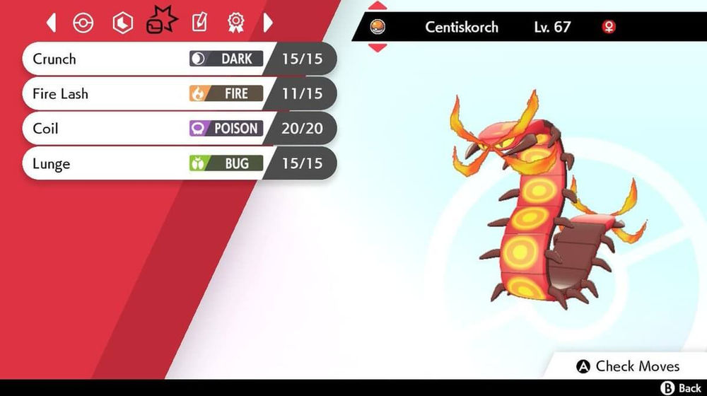 Top 10 Best Bug Type Pokemon Ever | Slowpoke Tail