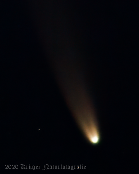 Comet C2020 F3 Neowise
