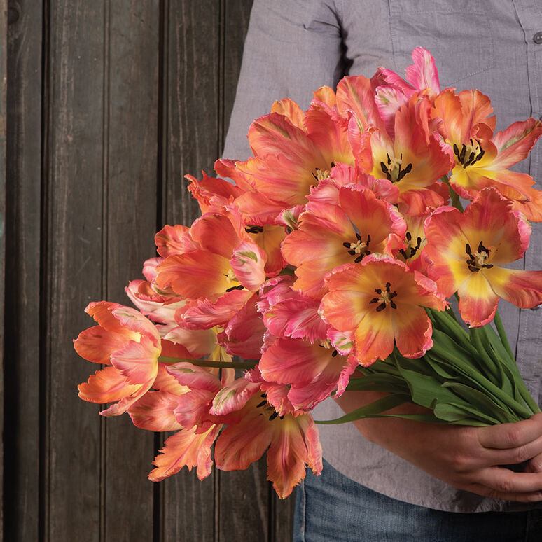 Home | SunKissed Flower Farm