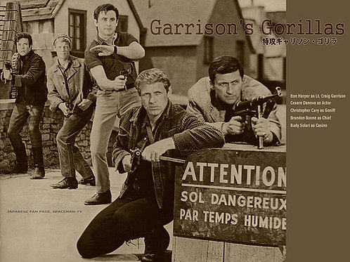 Garrison's Gorillas 1960s DVD Series | nursing