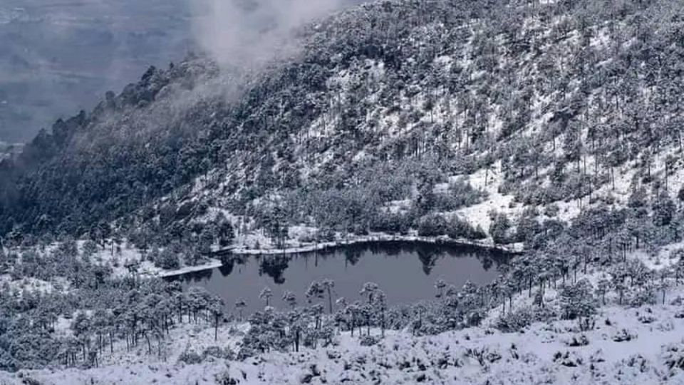 ¡Qué bonito! Así luce Cofre de Perote, Veracruz, tras su primera nevada ...