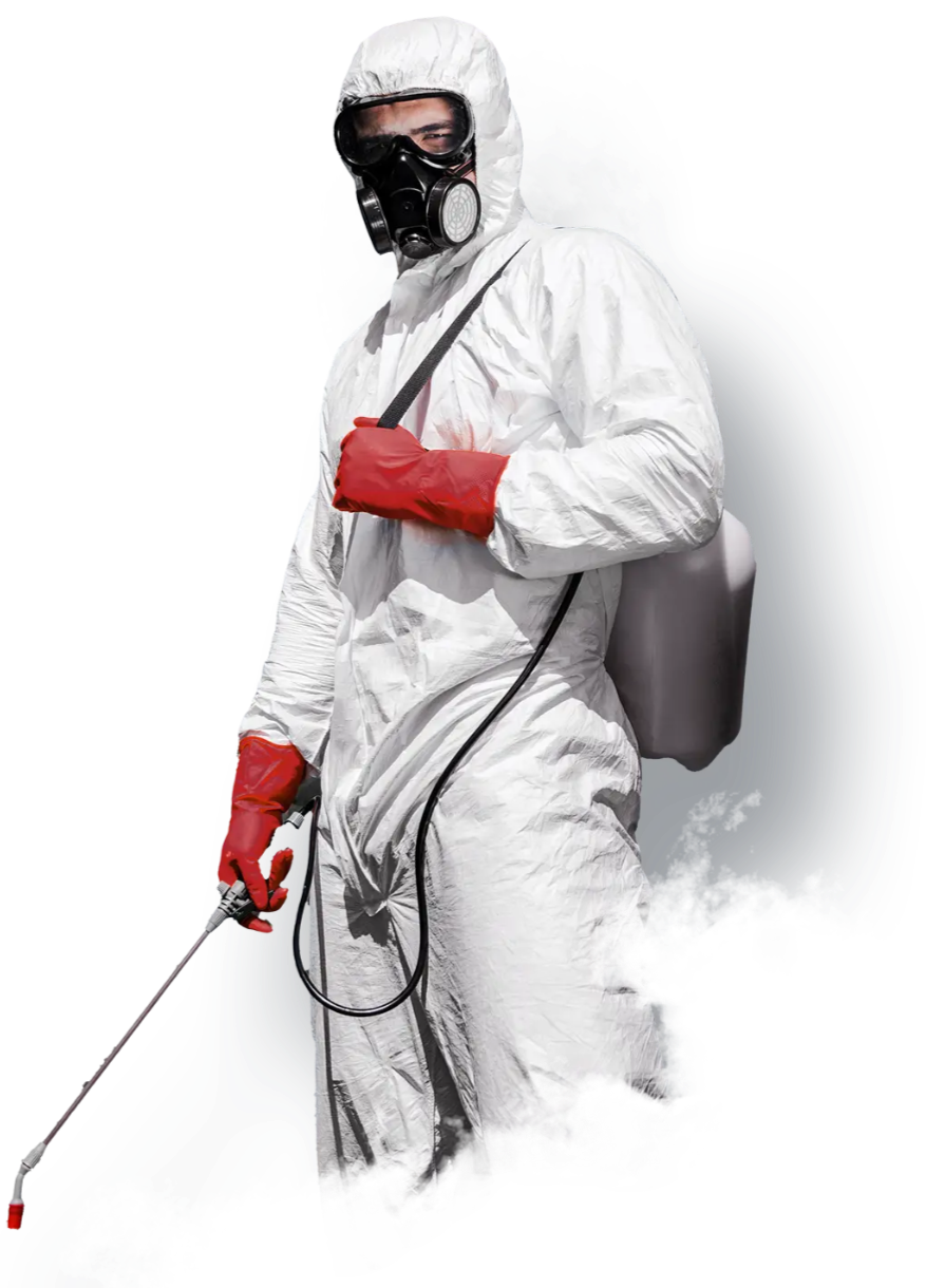 Home | Maco Pest Control | Pest Control Experts | Ohio