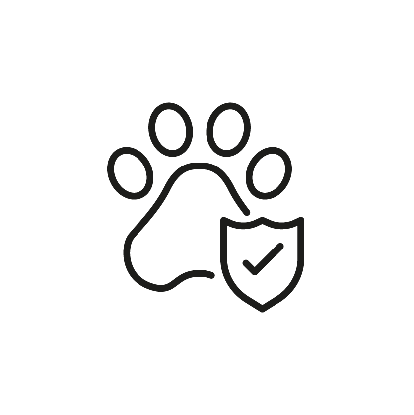 Cat Insurance | SimplyCats