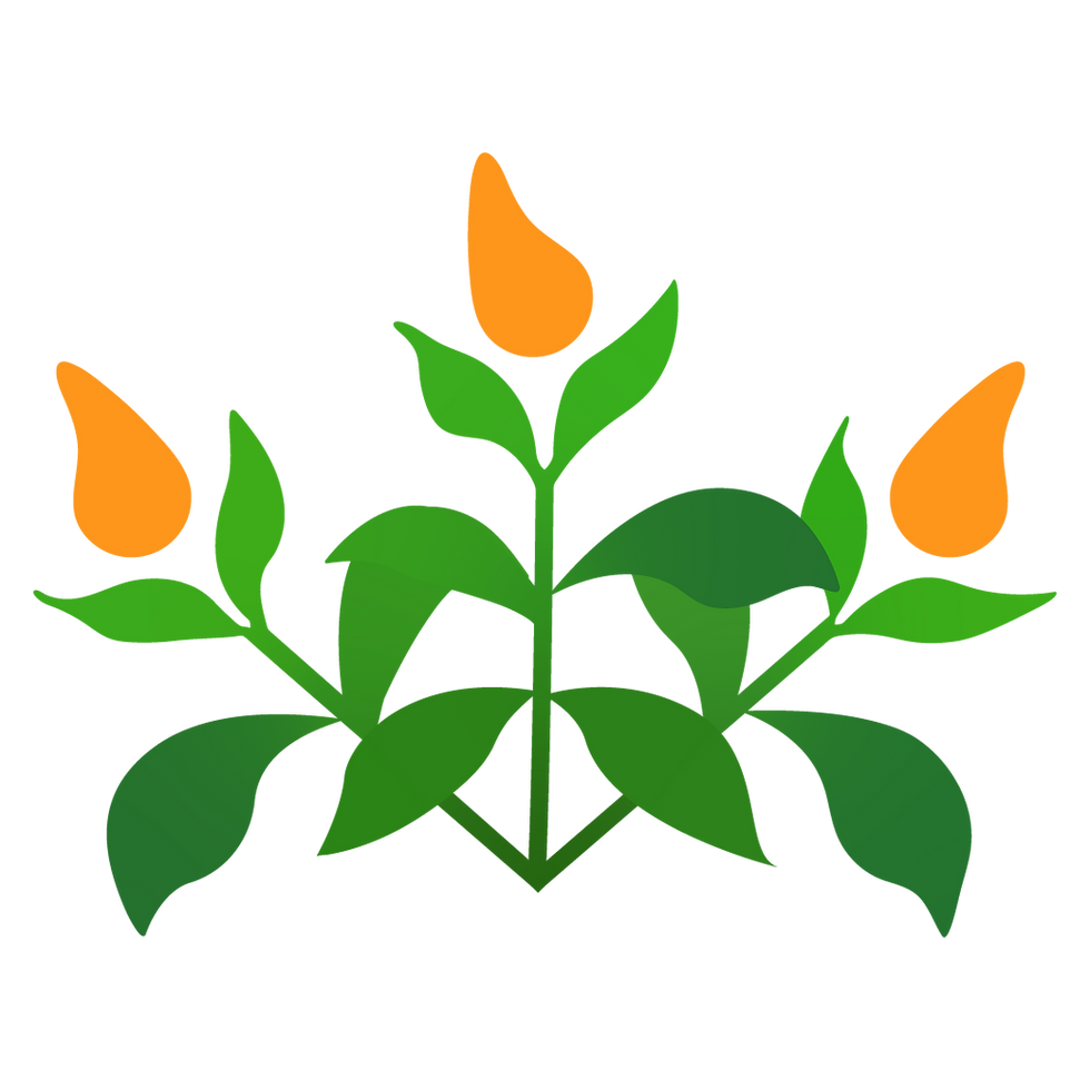 Ibogaine Treatment Center in Tepoztlan, Mexico | IbogaQuest