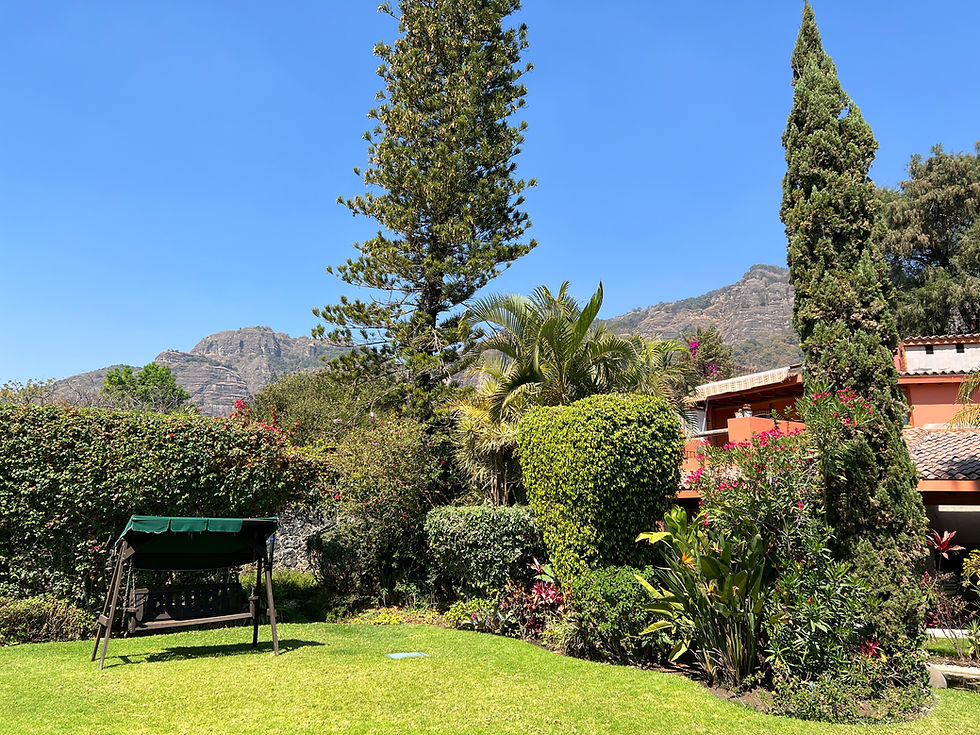 IbogaQuest: What to Expect During Treatment