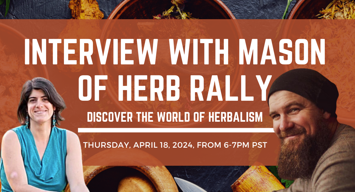 Behind the Scenes of Herb Rally | artemisia