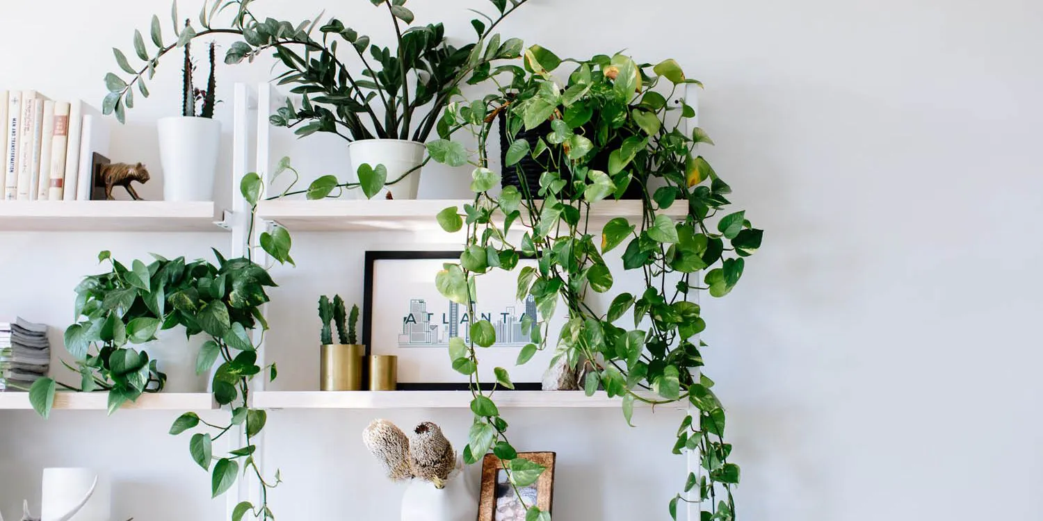 Stories | Forster Inc.