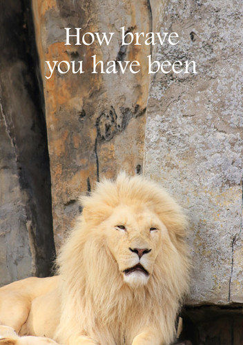 How brave you have been | Life is Poetic