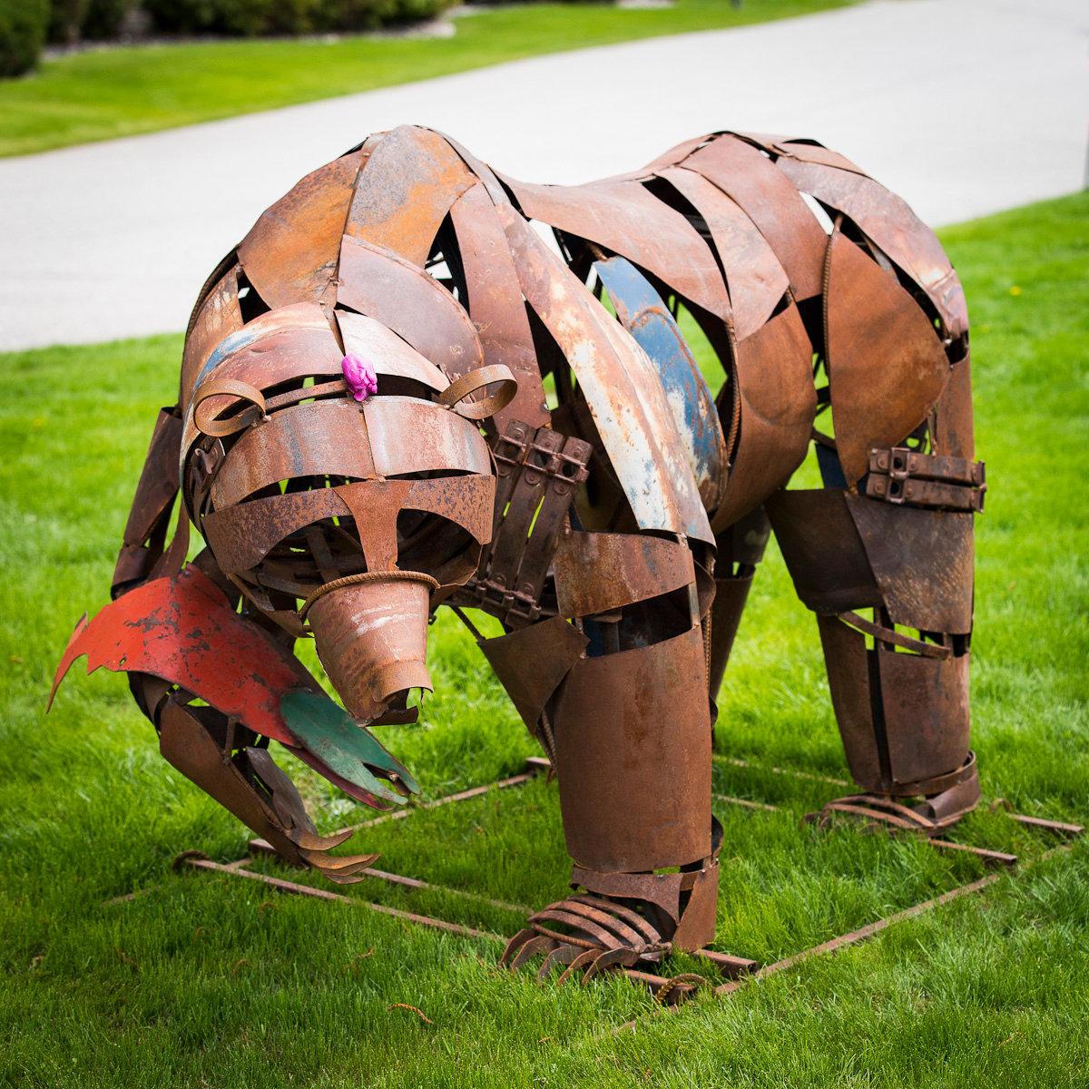 Beetle the Bear