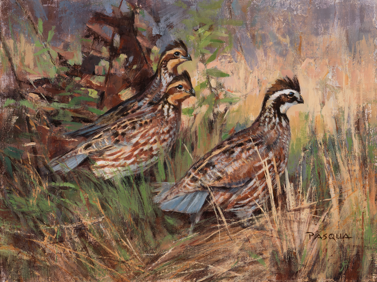 Game bird paintings by Lou Pasqua, Sporting Dog & Wildlife Artist