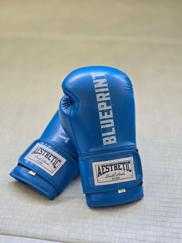 Blueprint Boxing/Muay Thai Gloves | Blueprint Martial