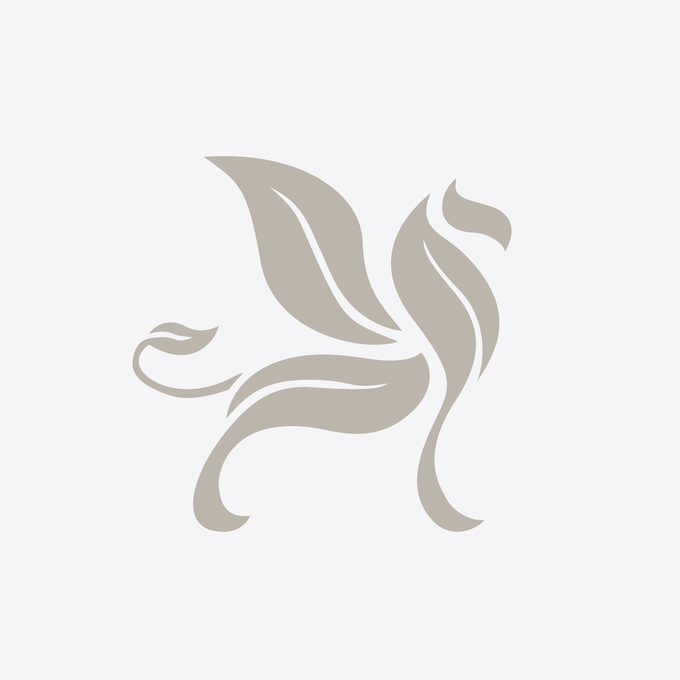 USDA Organic NOP Importer Certificate | United Safety Agents