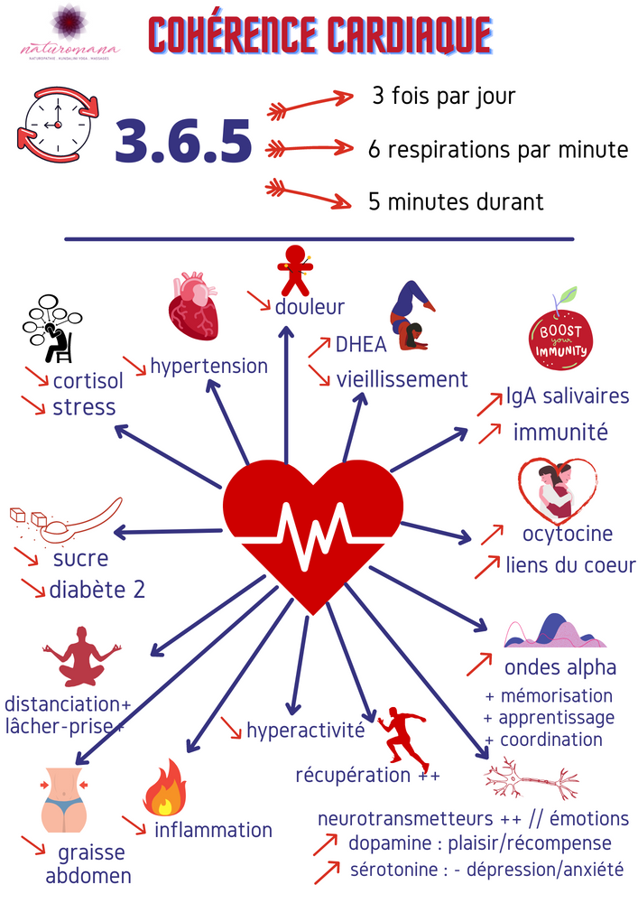 Cohérence Cardiaque Guide Respiratoire – AJRUZ