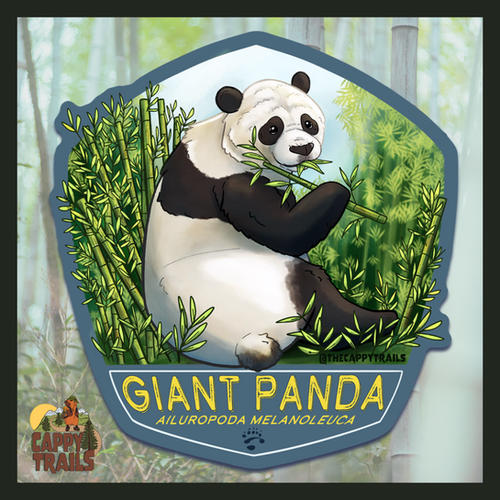 Giant Panda Sticker | Cappy Trails