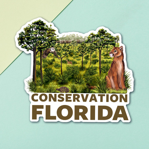 Conservation Florida Panther Sticker | Cappy Trails