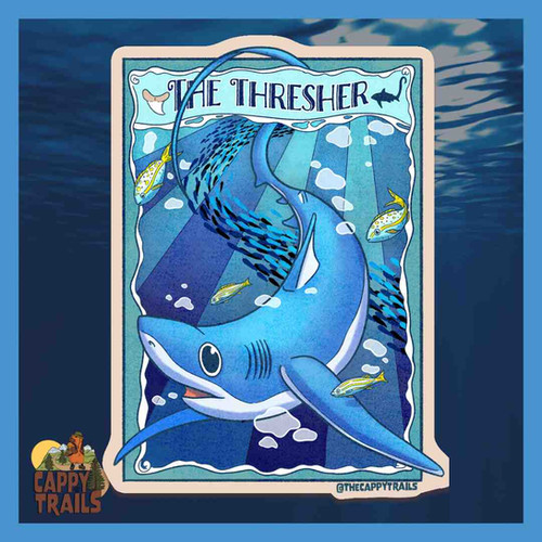 Thresher Shark Tarot Sticker | Cappy Trails