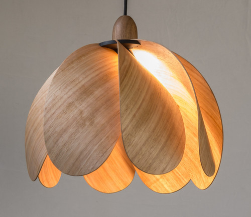 Propeller Droop Pendant Light - Tasmanian Eucalypt | duncanmeerding