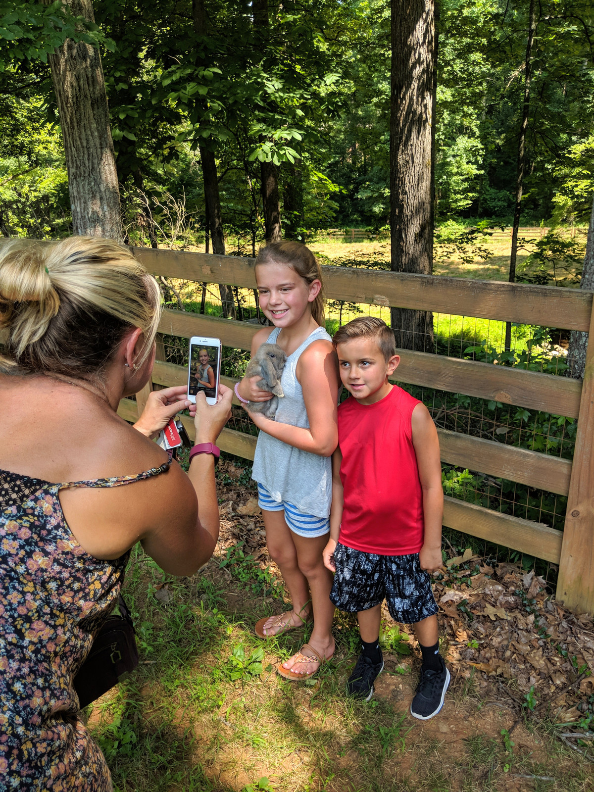 Spring Hill Rabbits in Georgia - Available Breeds