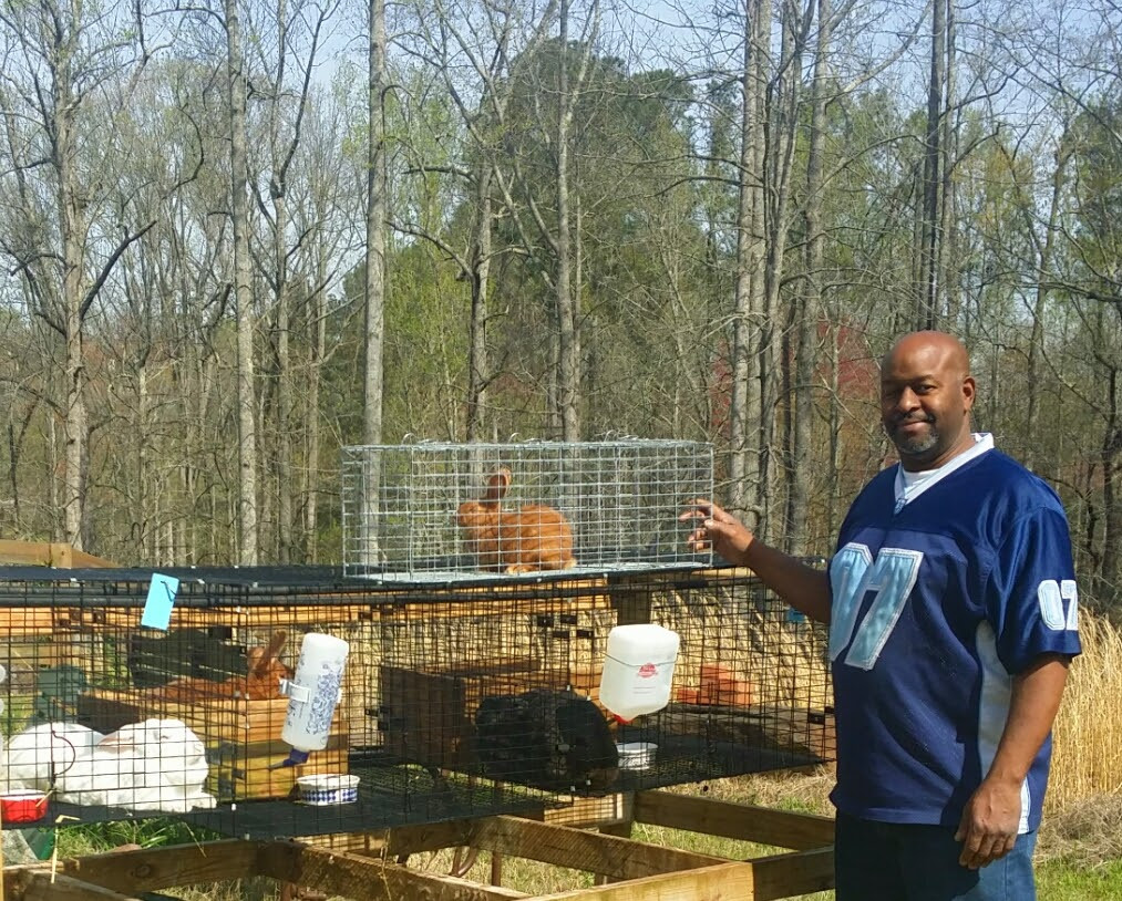 Spring Hill Rabbits in Georgia - Available Breeds