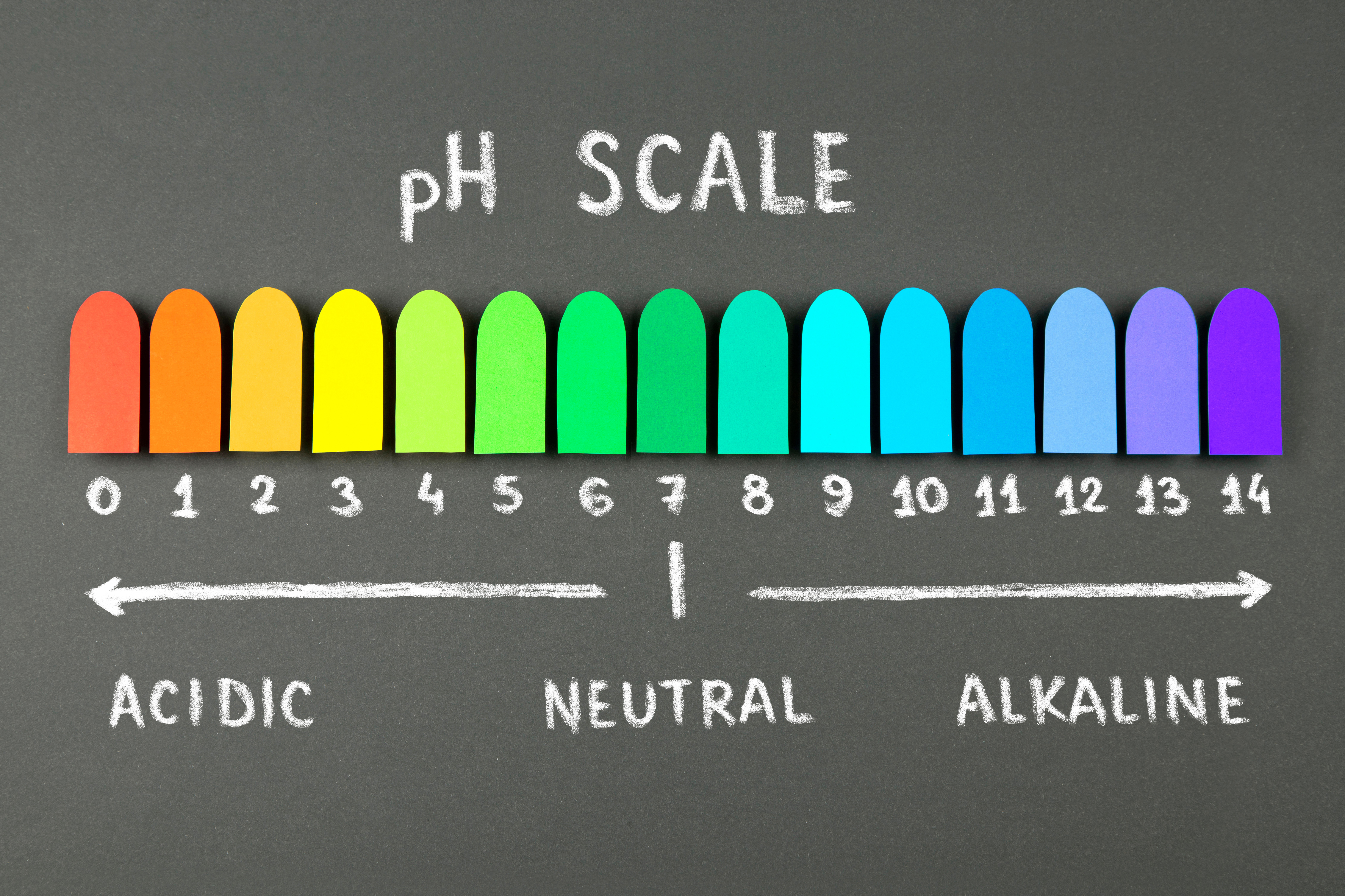 pH Métrie Toulouse | Centre des Maladies de l'Appareil Digestif