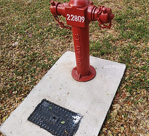 SERVICES | UCD Pte Ltd