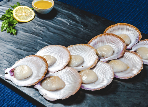 Half Shell Scallops (Dozen) | URBAN Fish Market