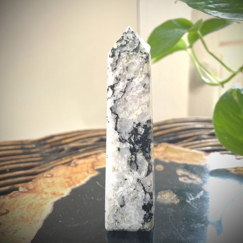 Moonstone Tower | Crystal Waters