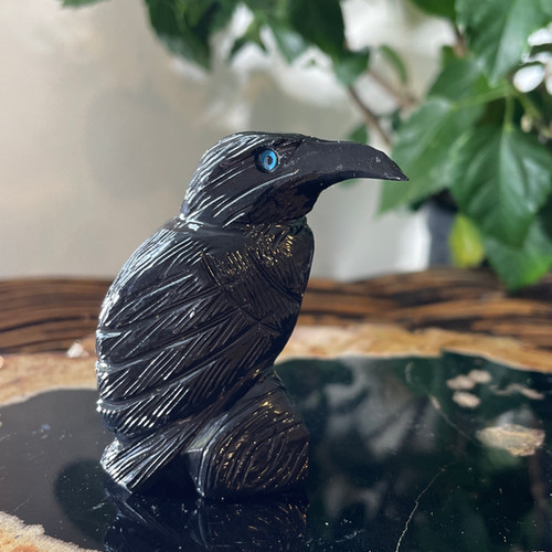 Black Onyx Raven | Crystal Waters