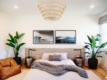 Home | Dani California