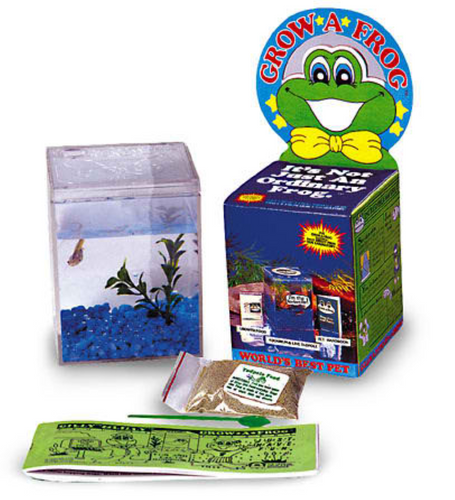 Grow A Frog Kit 1AGF | Pillar Scientific