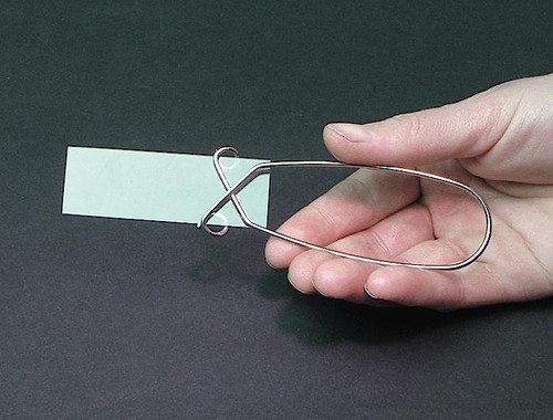 Forceps, Slide Holding R055 | Pillar Scientific