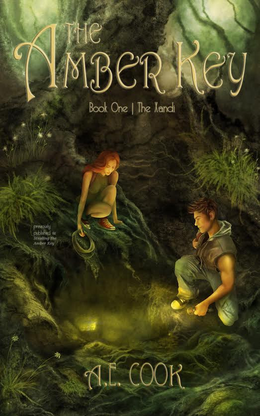 Renaissance Valley Books | The Amber Key