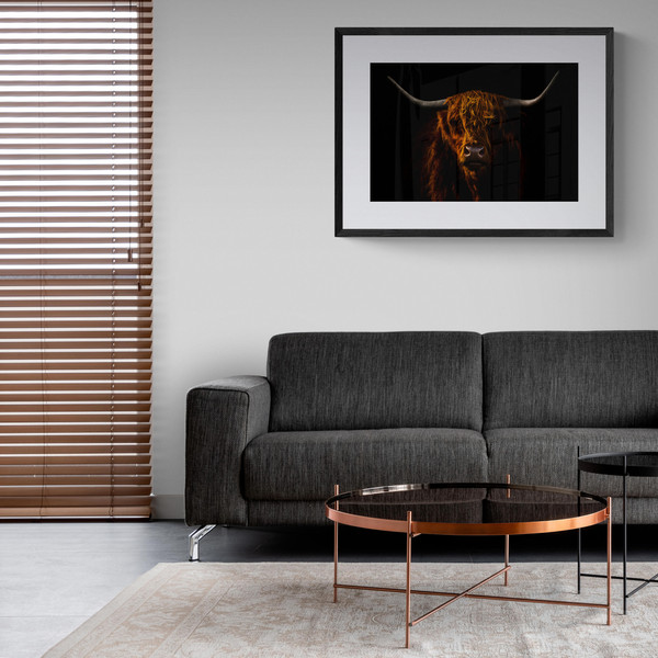 Highland Cow - On Black | George Wheelhouse Fine Art Nature Photography