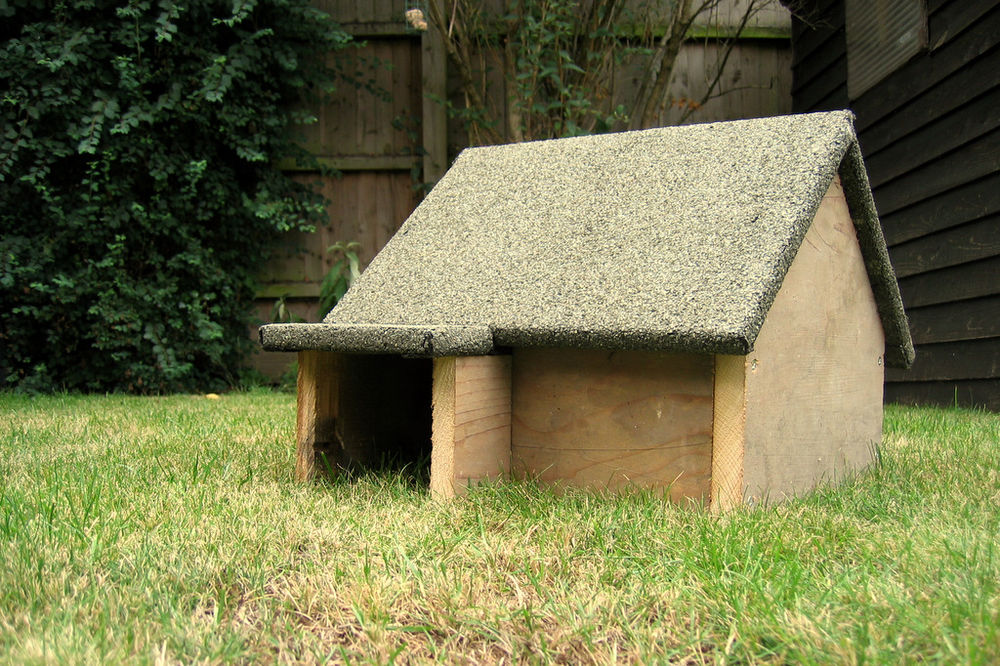 Building a Hedgehog House