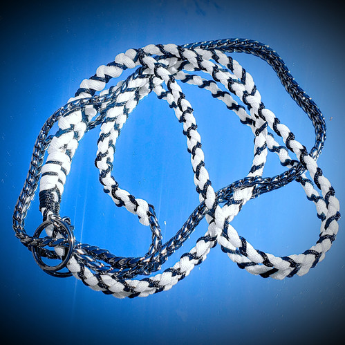 Custom BLACK NICKLE XL Luxury Hybrid Show Lead | Classic BullyZ Co.