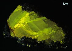 Photo Gallery | Fluorescent minerals from around the world