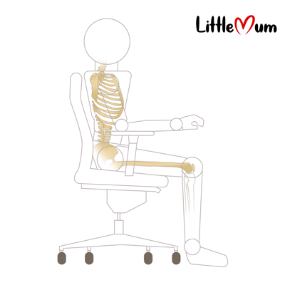 How to Relieve Back Strain Pain by Releasing QL Muscle