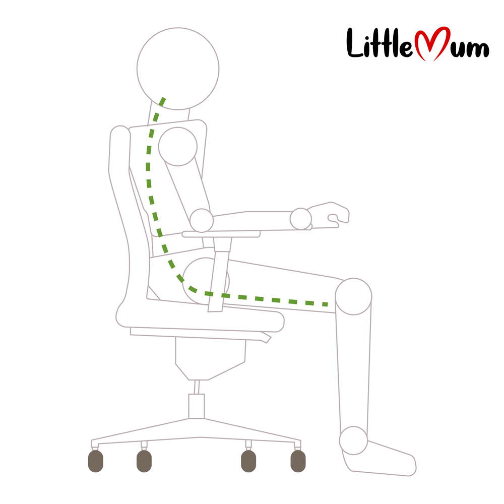 Correct Sitting Posture by Lumbar Support