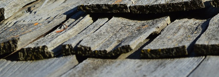 Types of Cedar Roof Damage | Cedar Roof Coatings