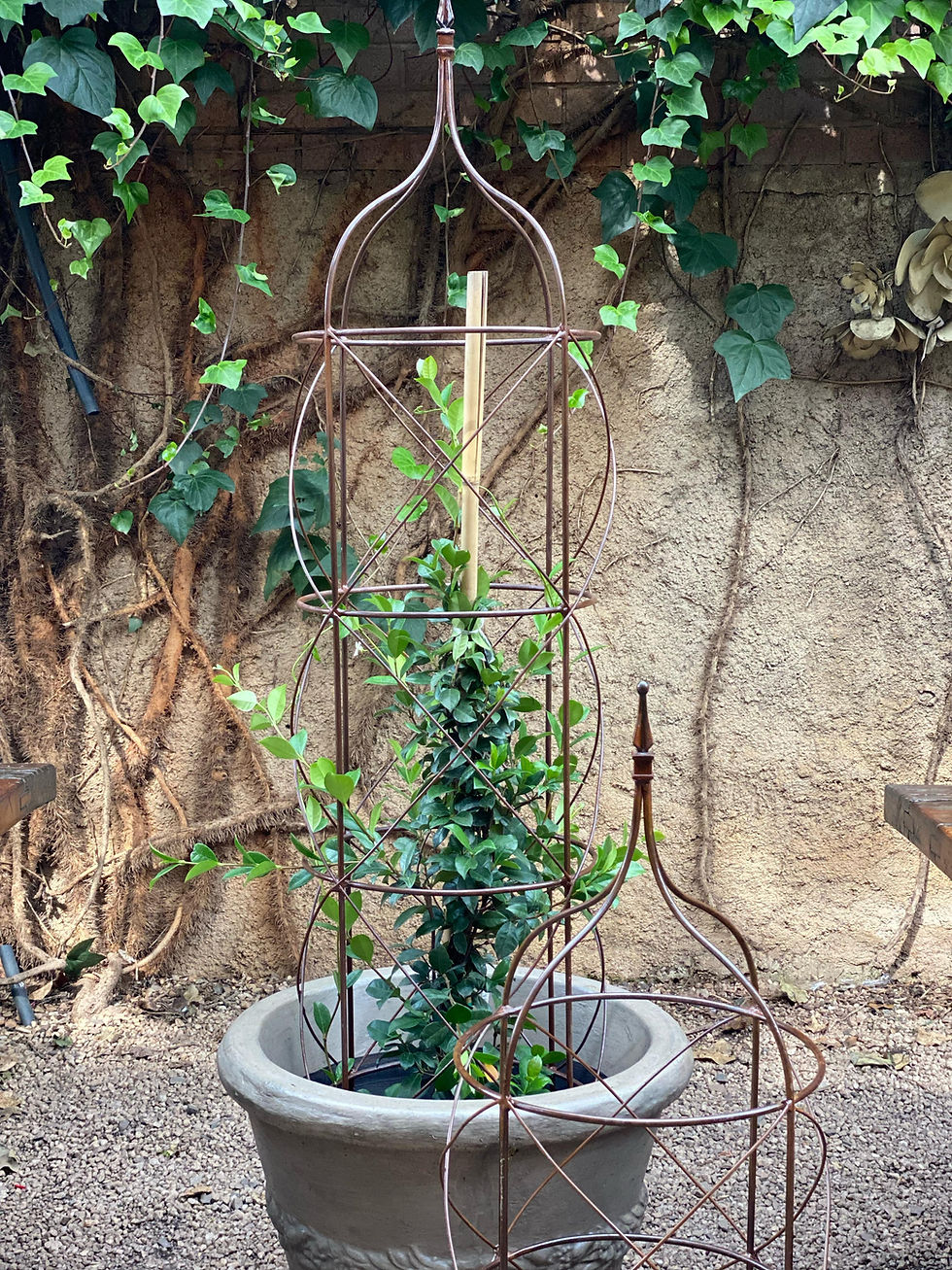 Rose Obelisk with Wire | Garden Bleu