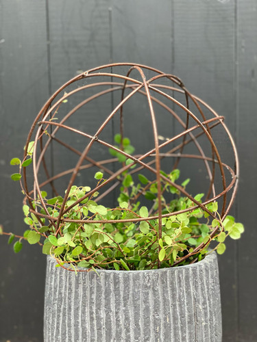 Muli Ring Topiary Ball (H) - 4mm Steel | Garden Bleu