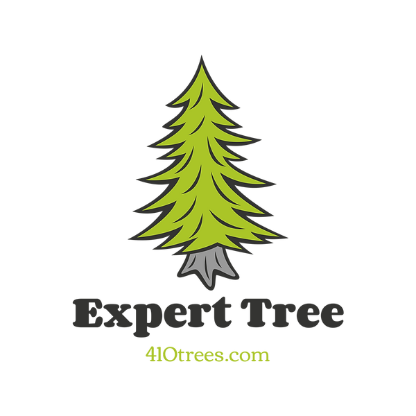 Expert Tree | Licensed Maryland Tree Experts