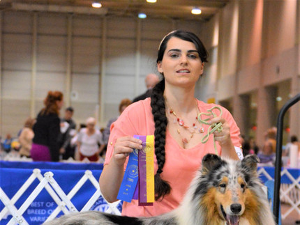 Gallery | Cook's Collies