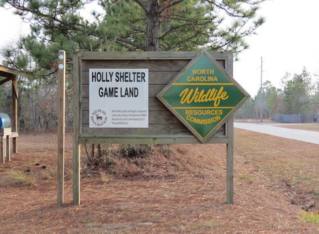 Holly Shelter Gravel Grinder | Trans-Sylvania Productions