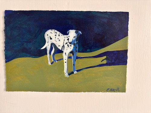 Dalmatian, 2025 | Jess Brilli